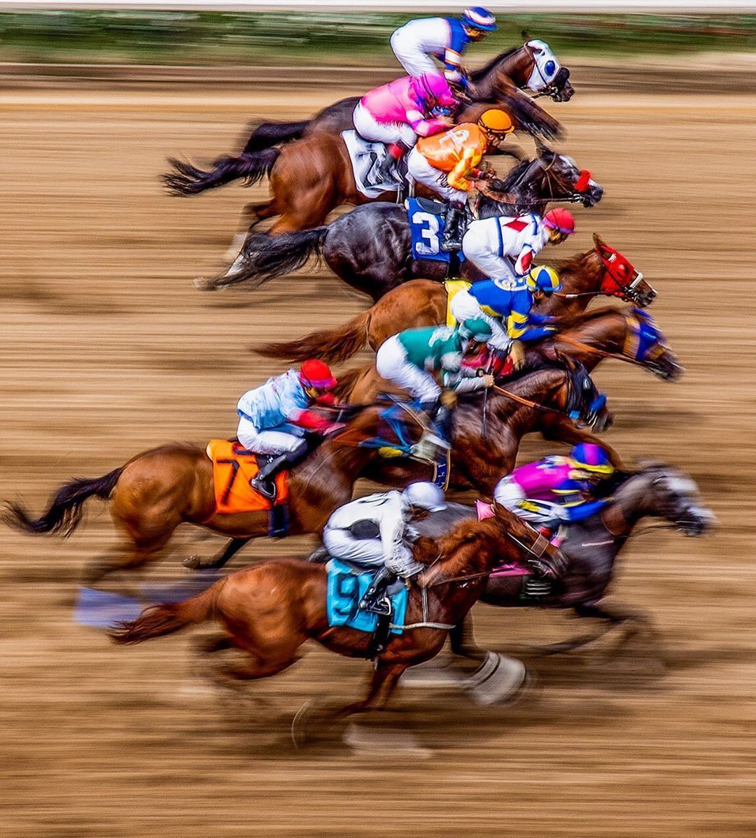 Horse Racing | Schelstraete Equine Law